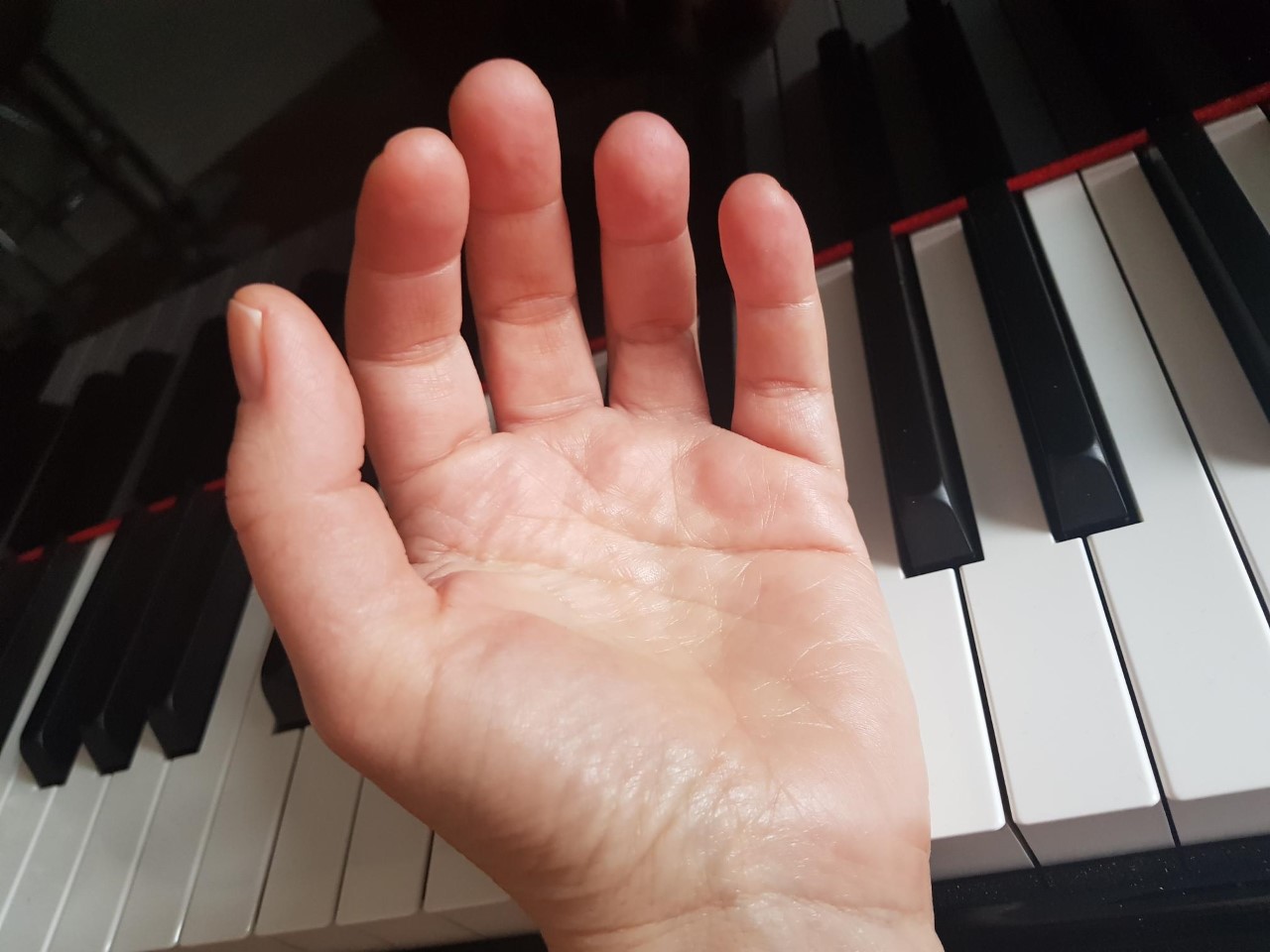 Celebrating the Left Hand